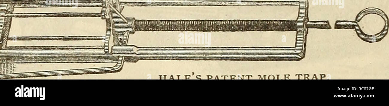 Extra limb illustration hi-res stock photography and images - Alamy