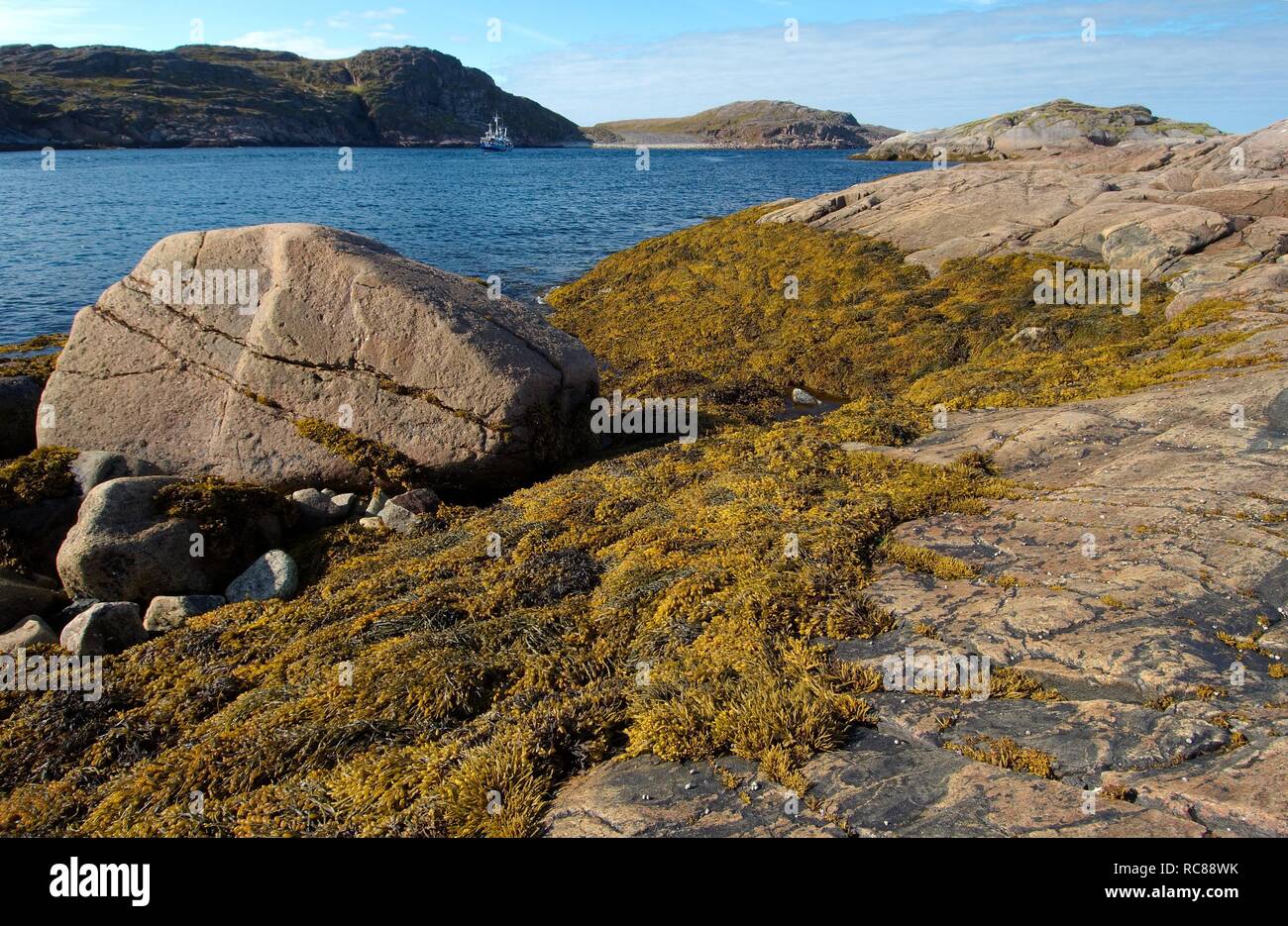 Coastline barents sea in hi-res stock photography and images - Alamy