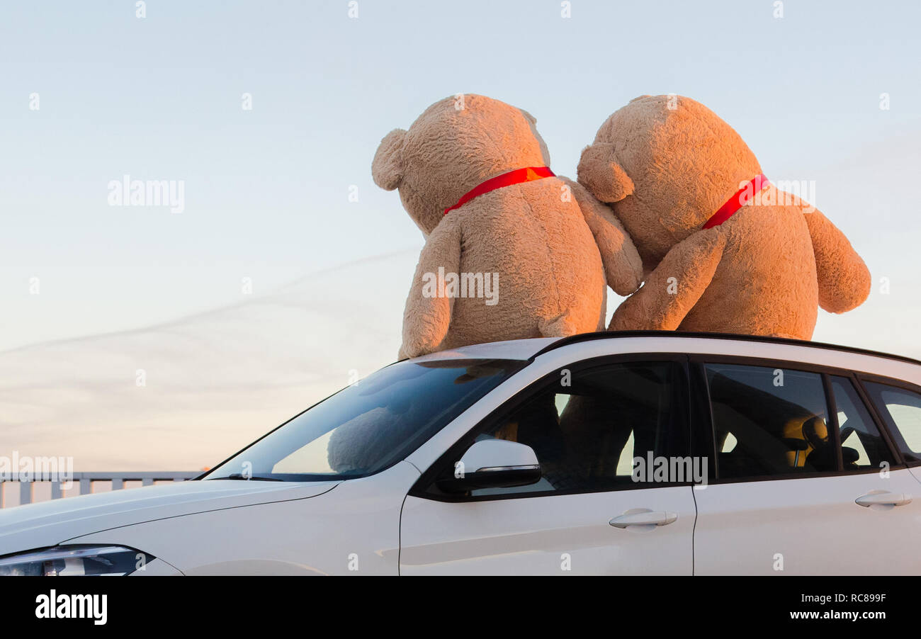 Giant teddy bears with red ribbons sitting on top of the car hood ...