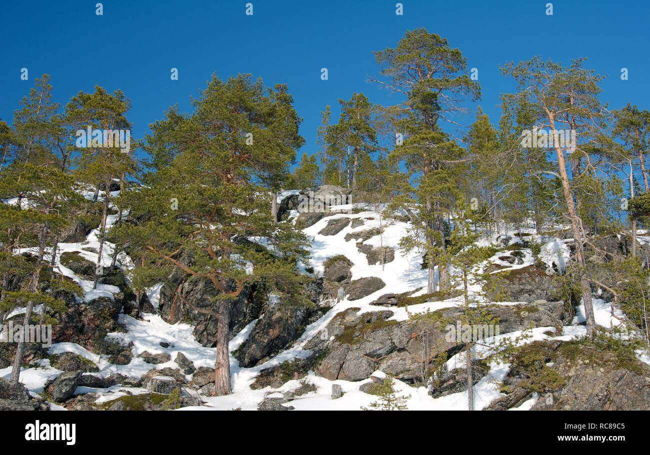 North russia hi-res stock photography and images - Alamy