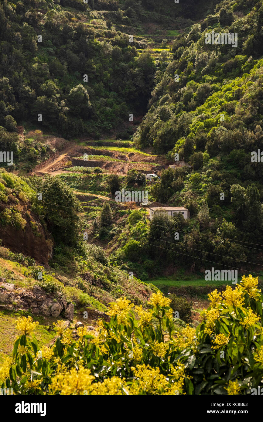 Terrace farming steep hi-res stock photography and images - Alamy