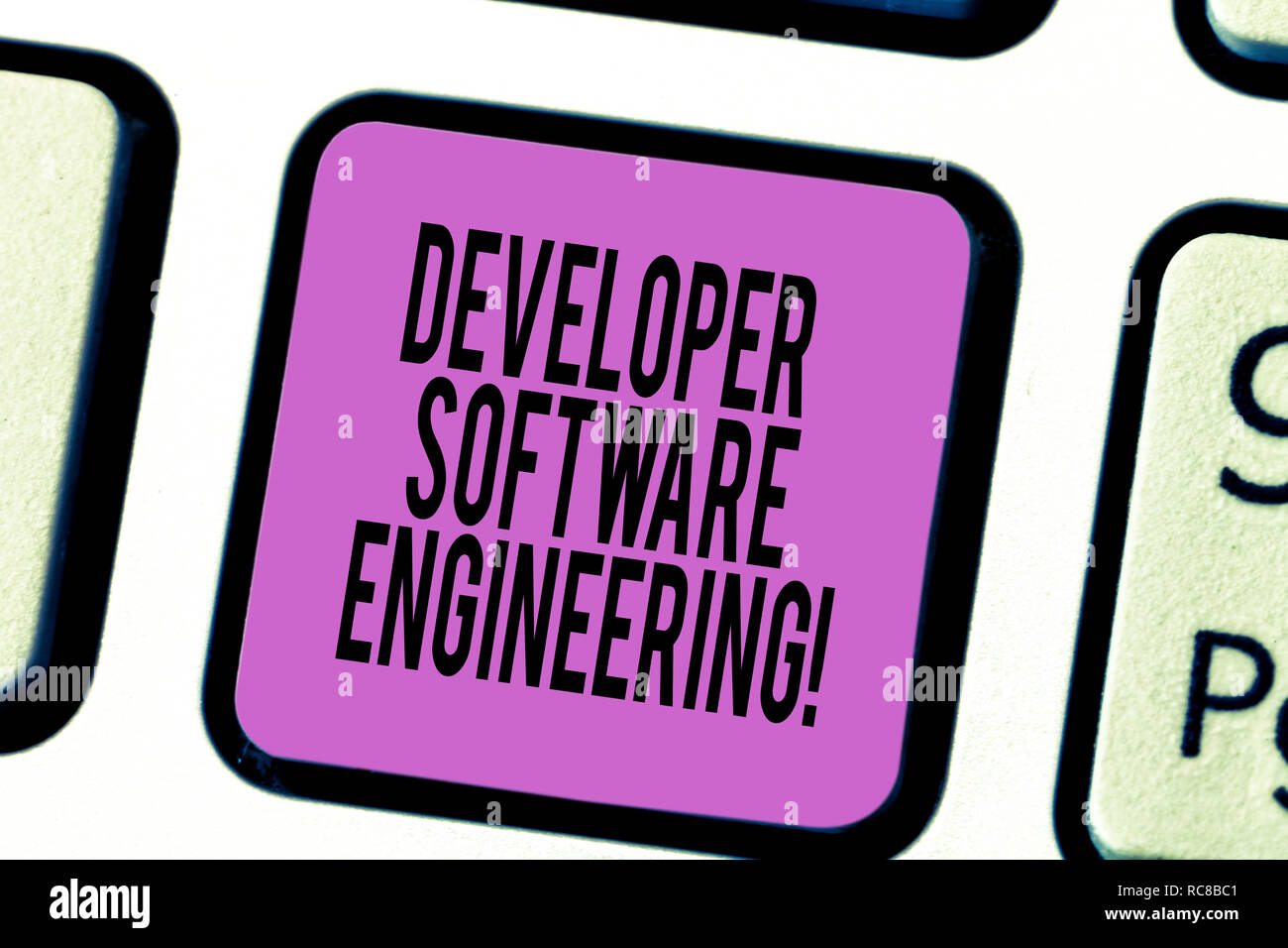 Text sign showing Developer Software Engineering. Conceptual photo ...