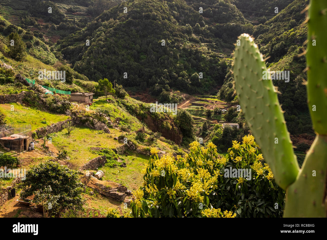 Terrace farming steep hi-res stock photography and images - Alamy