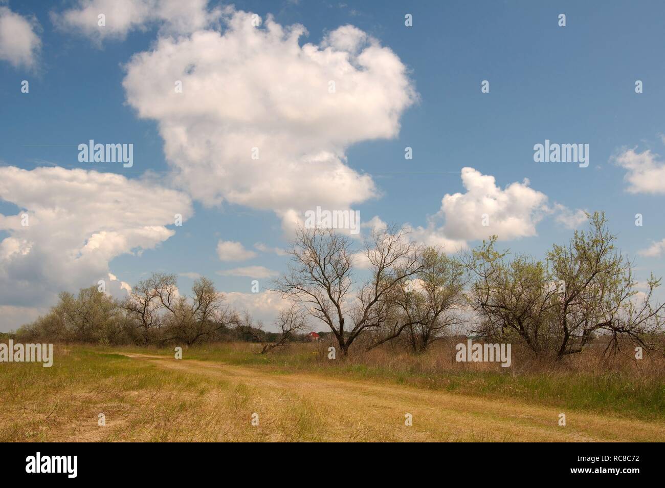 Ukraine landscape hi-res stock photography and images - Alamy