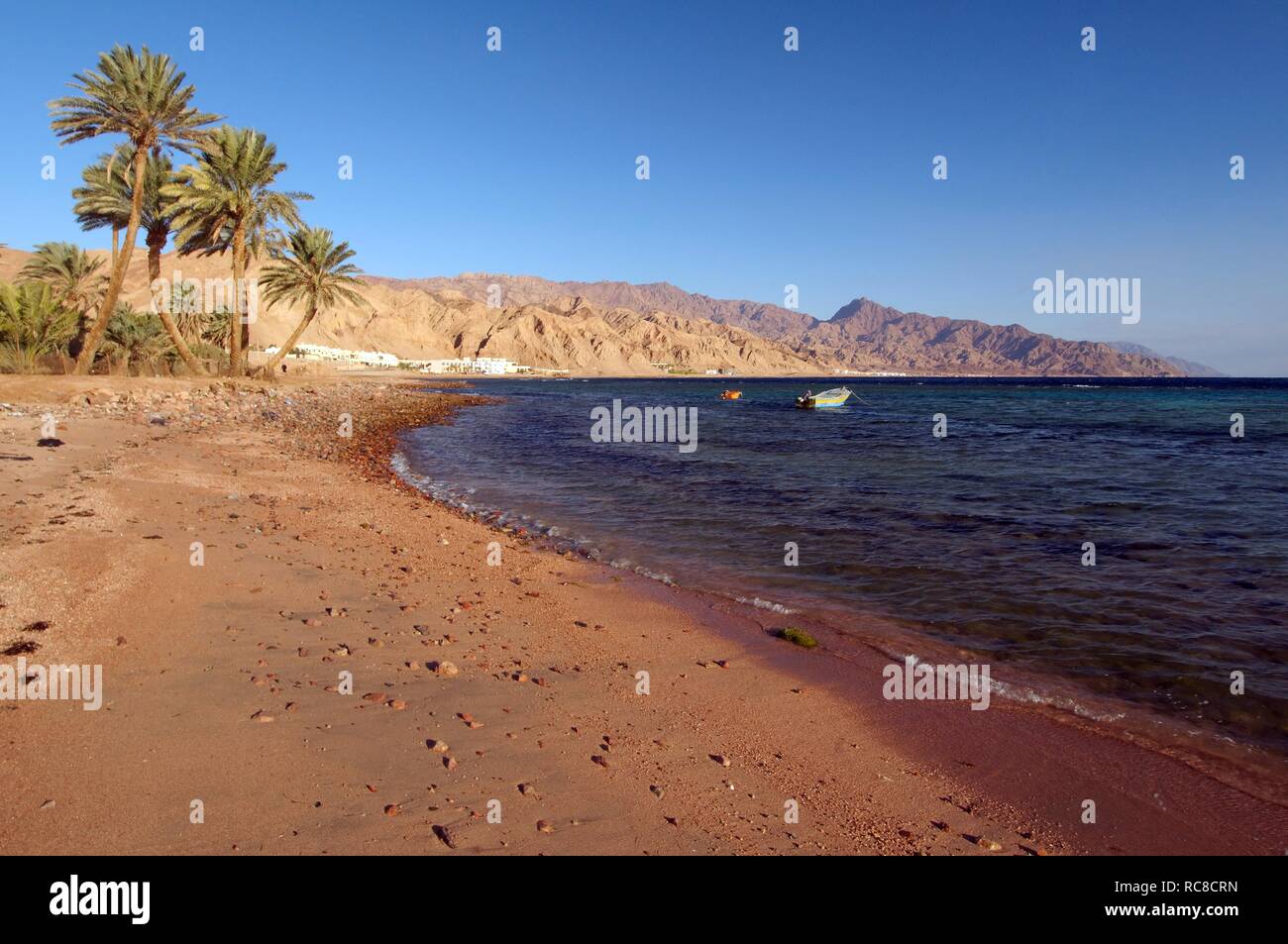 Beach, Red Sea, Egypt, Africa Stock Photo - Alamy