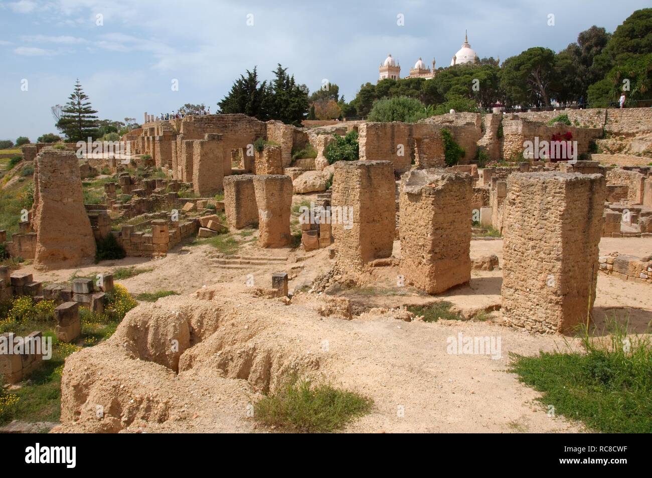 Ancient Carthage, antique city, Tunisia, Africa Stock Photo - Alamy