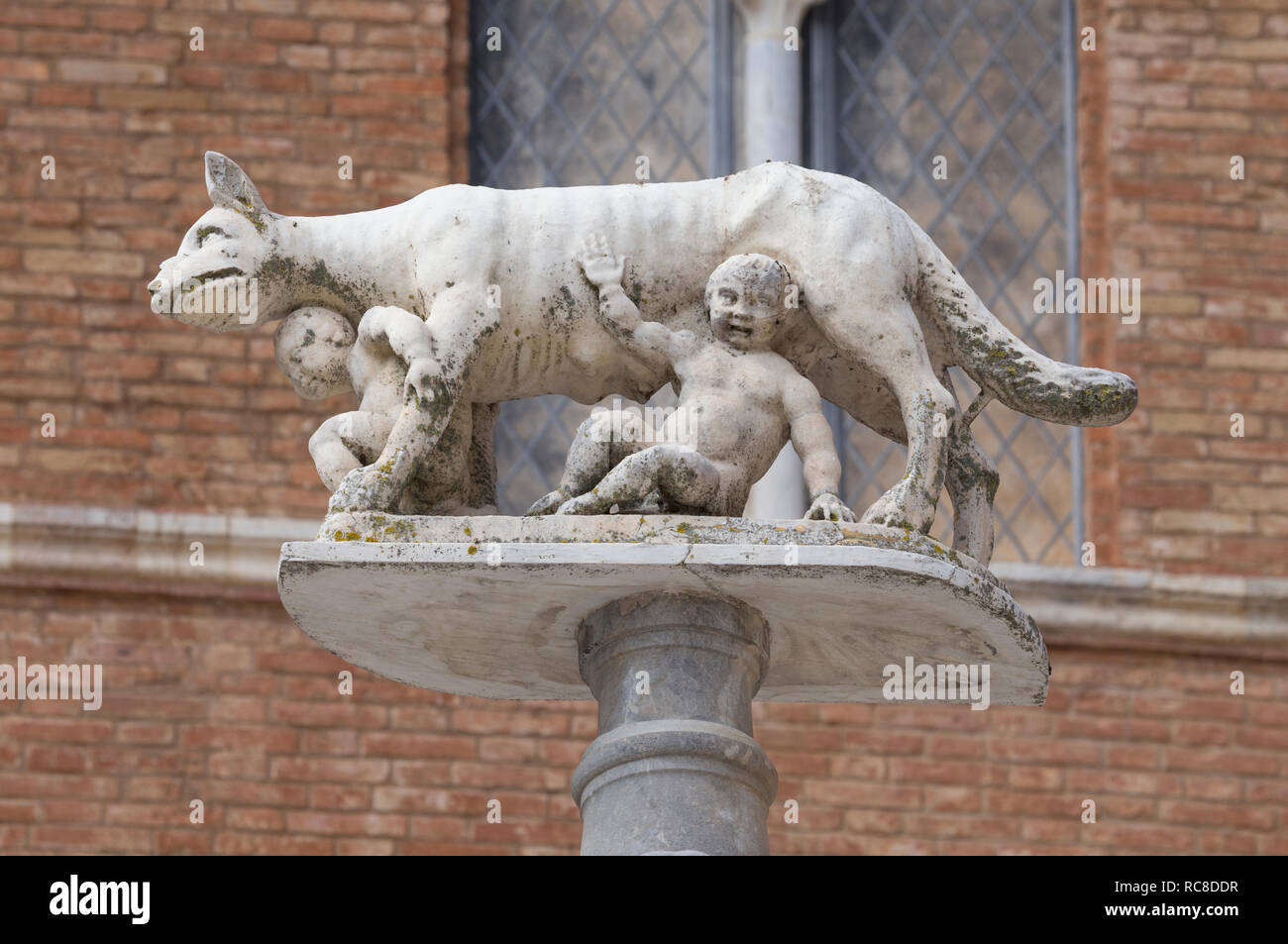 The wolf suckling the twins romulus and remus hi-res stock photography ...