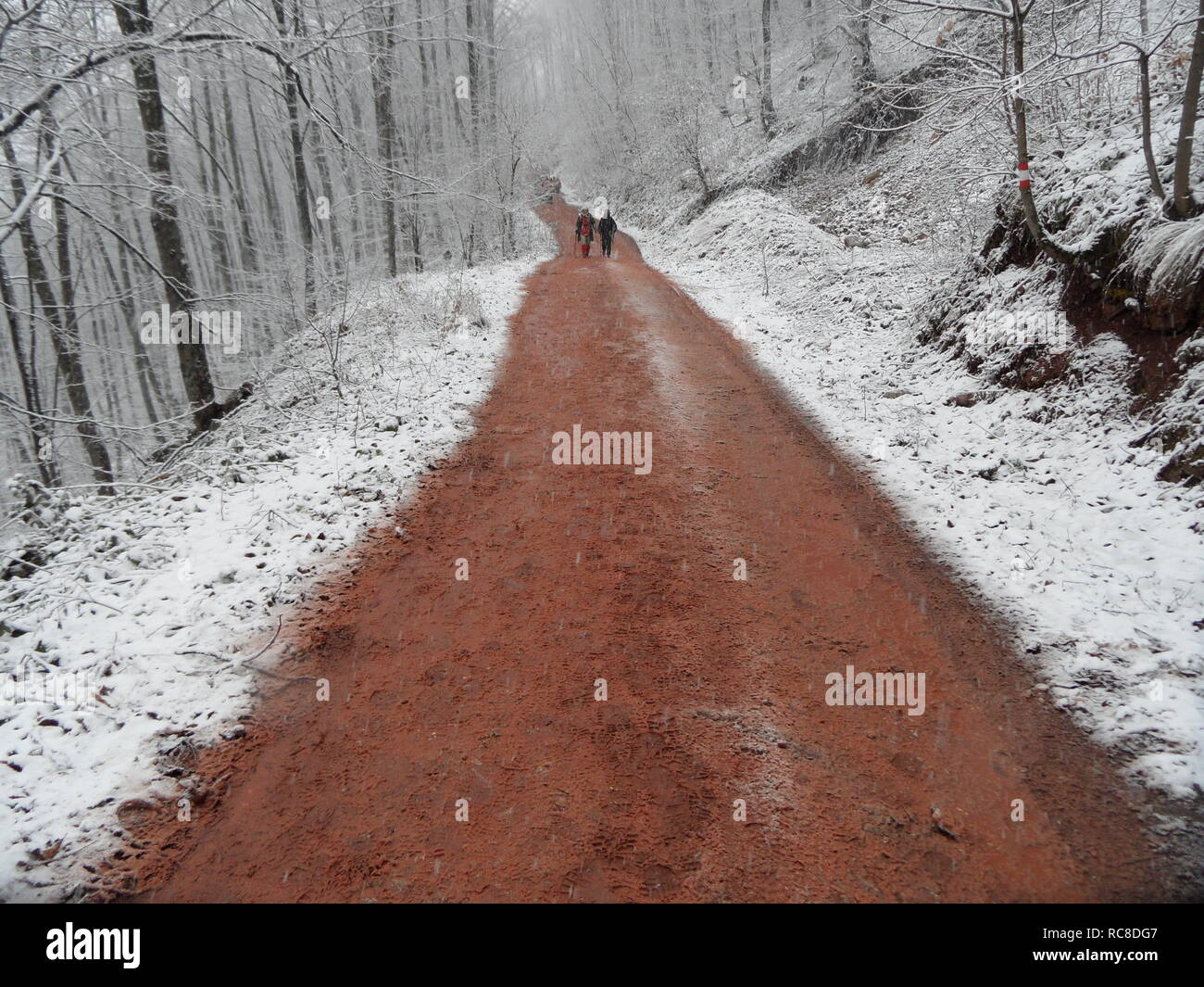 Red road film hi-res stock photography and images - Alamy