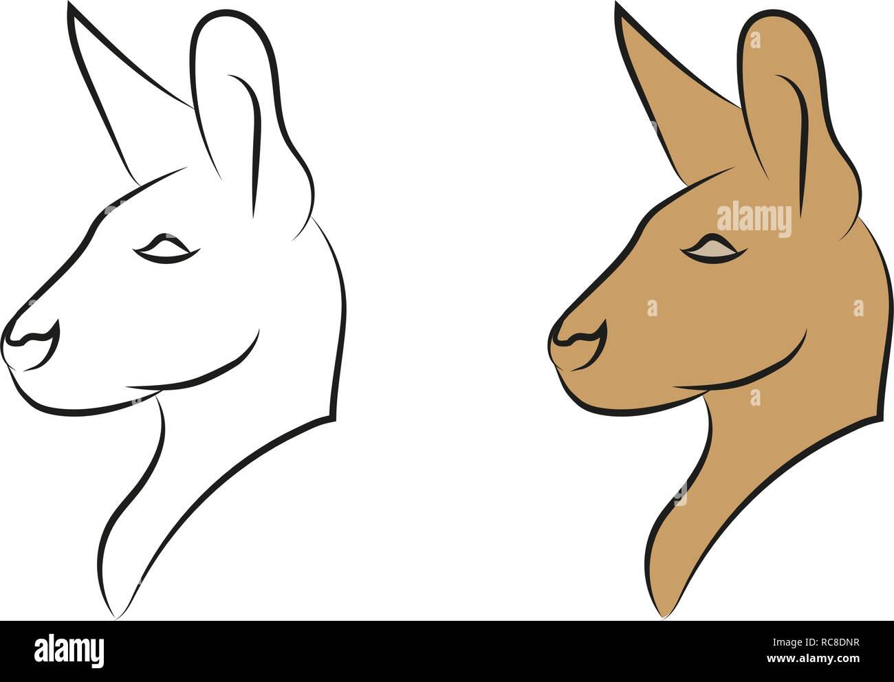 Kangaroo Head High Resolution Stock Photography and Images - Alamy