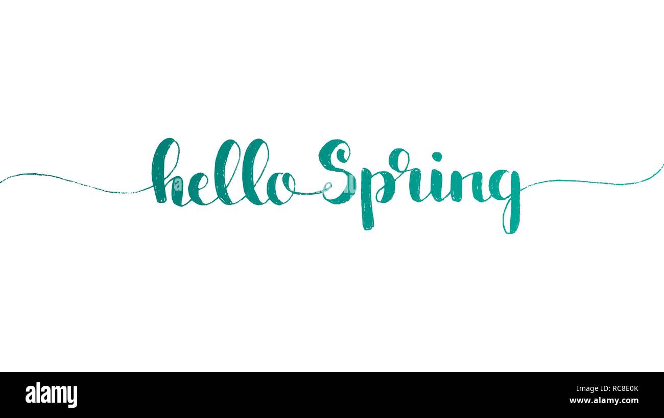 Hello Spring hand lettering. Modern vector hand drawn calligraphy ...