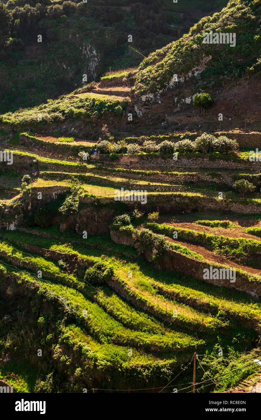 Terrace Farming Steep High Resolution Stock Photography and Images - Alamy