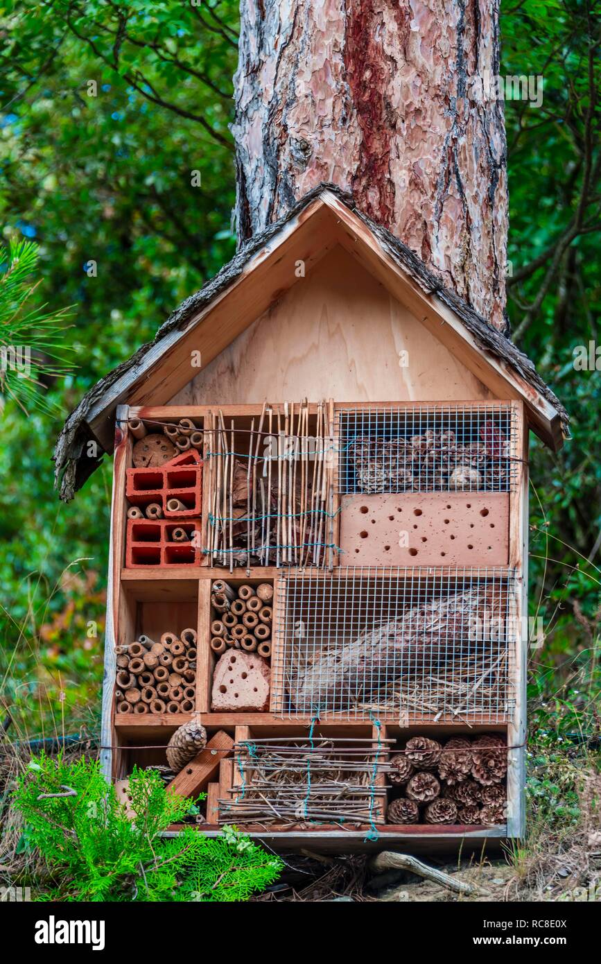 Bee hotel hi-res stock photography and images - Alamy