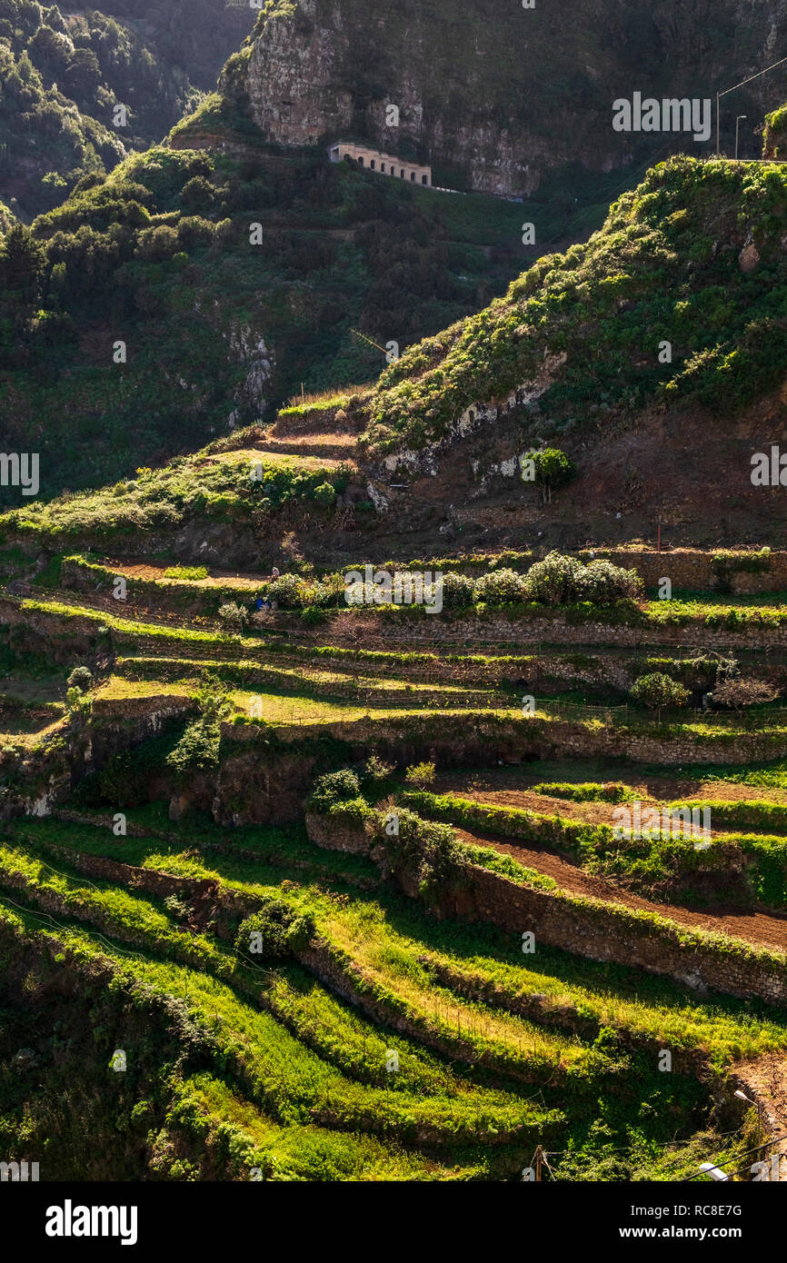 Terrace Farming Steep High Resolution Stock Photography and Images - Alamy