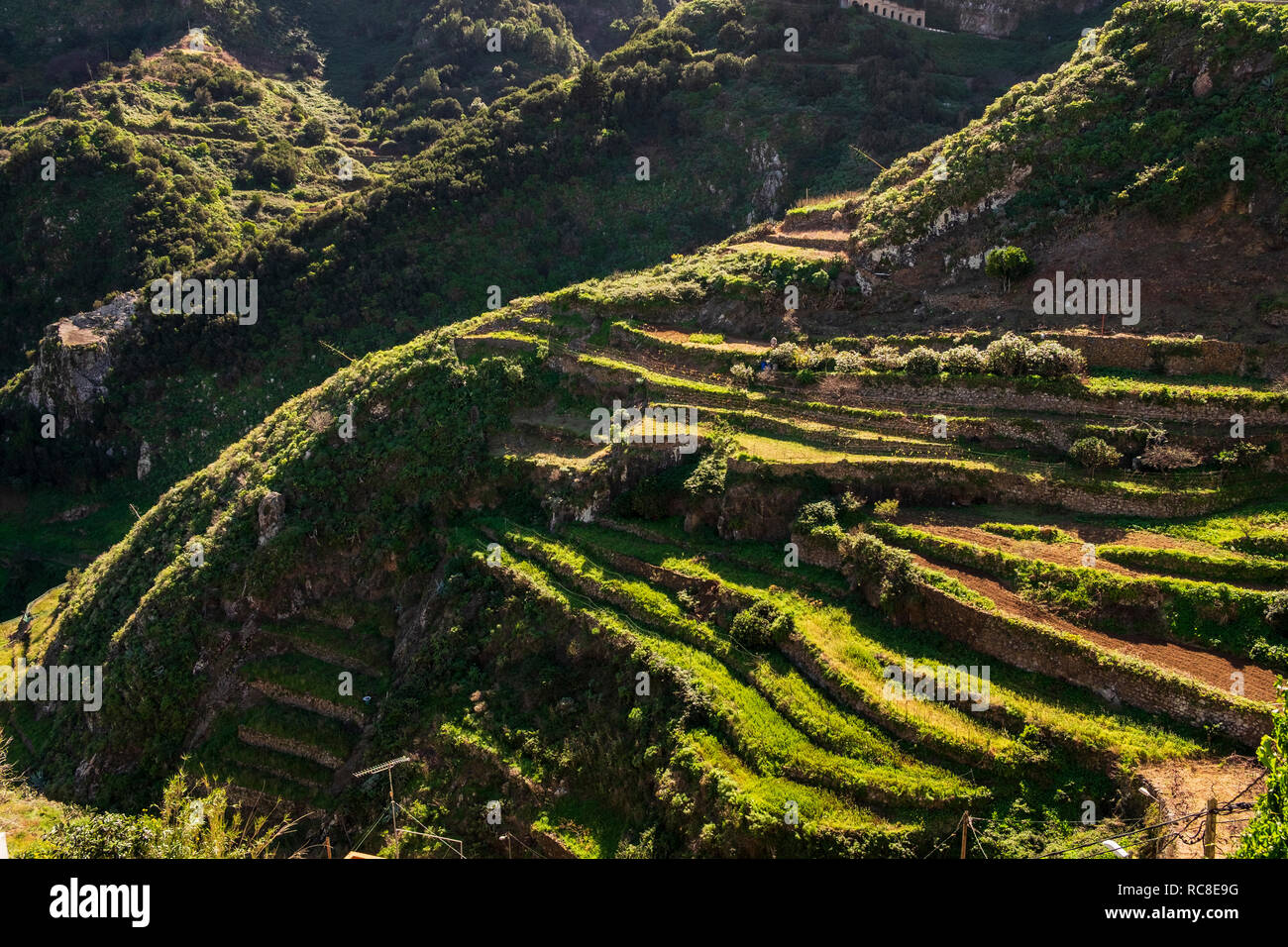 Terrace Farming Steep High Resolution Stock Photography and Images - Alamy