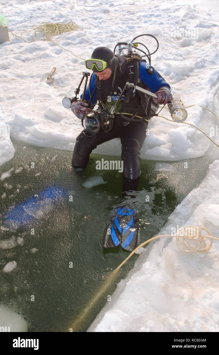 Diver, preparing for subglacial diving, ice diving, in the frozen Black ...