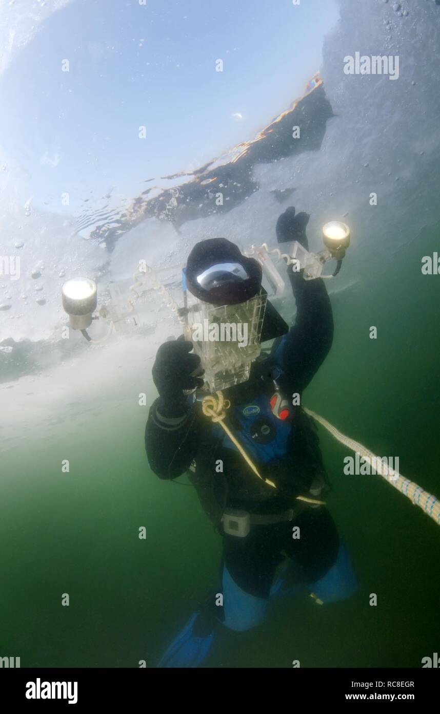 Diver, subglacial diving, ice diving, in the frozen Black Sea, a rare ...