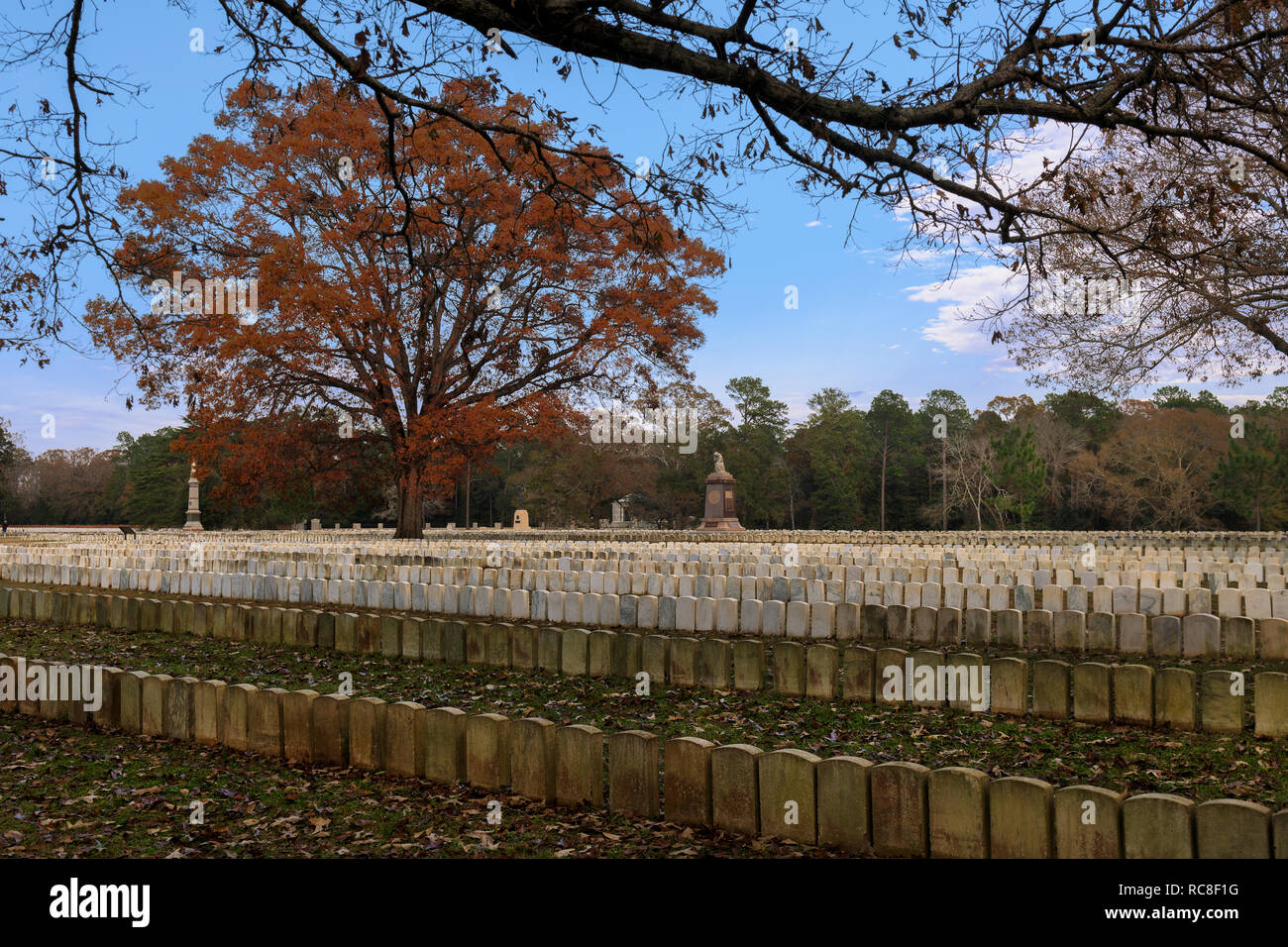 Grave markers at the Andersonville National Cemetery at the ...