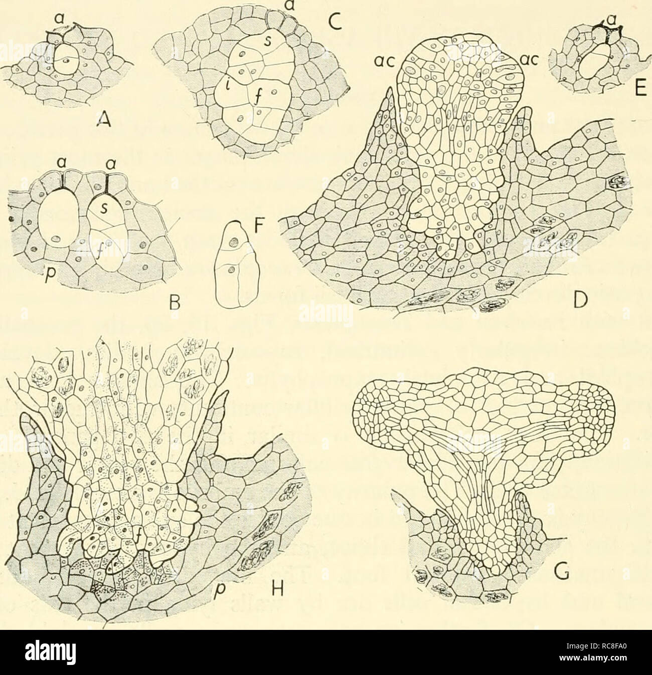 . Embryogenesis in plants. Embryology. 86 EMBRYOGENESIS IN PLANTS as a ...