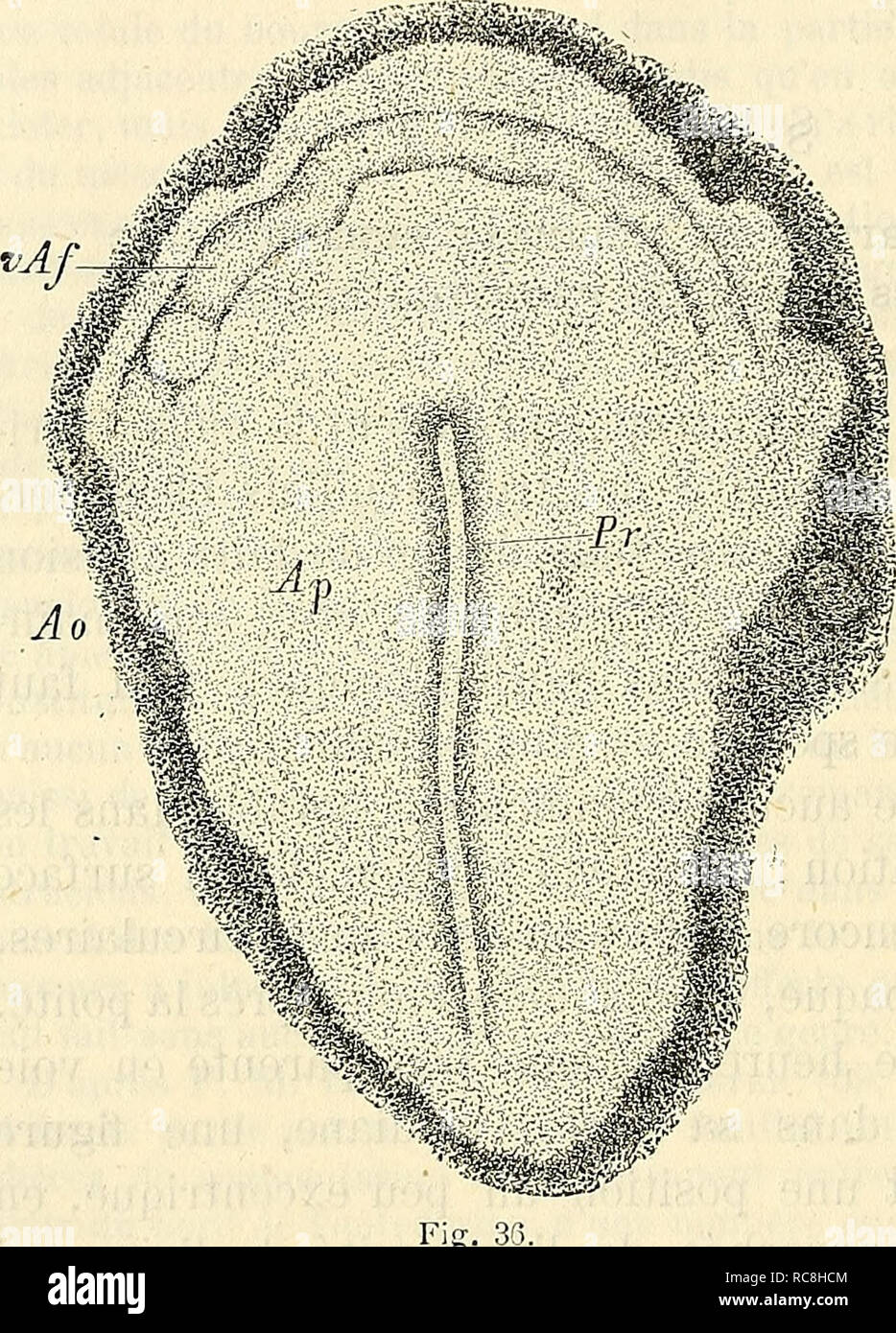 . Embryologie, ou, TraitÃ© complet du dÃ©veloppement de l'homme et des ...
