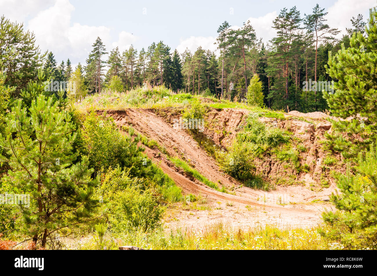 Scenic sandy hills landscape surrounded by evergreen pine trees forest ...