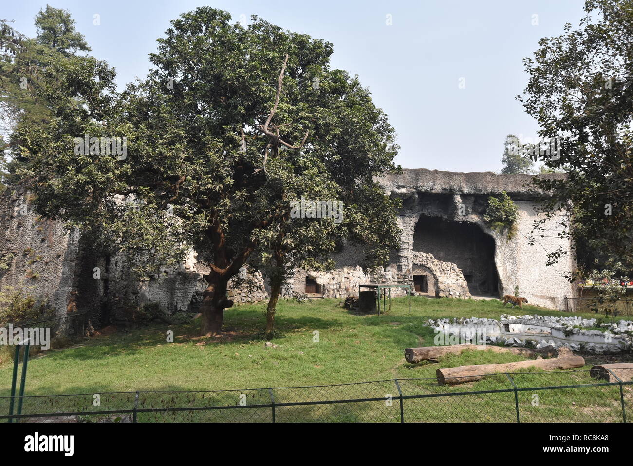 Tiger living area of the Alipore Zoological Garden in Kolkata, India ...