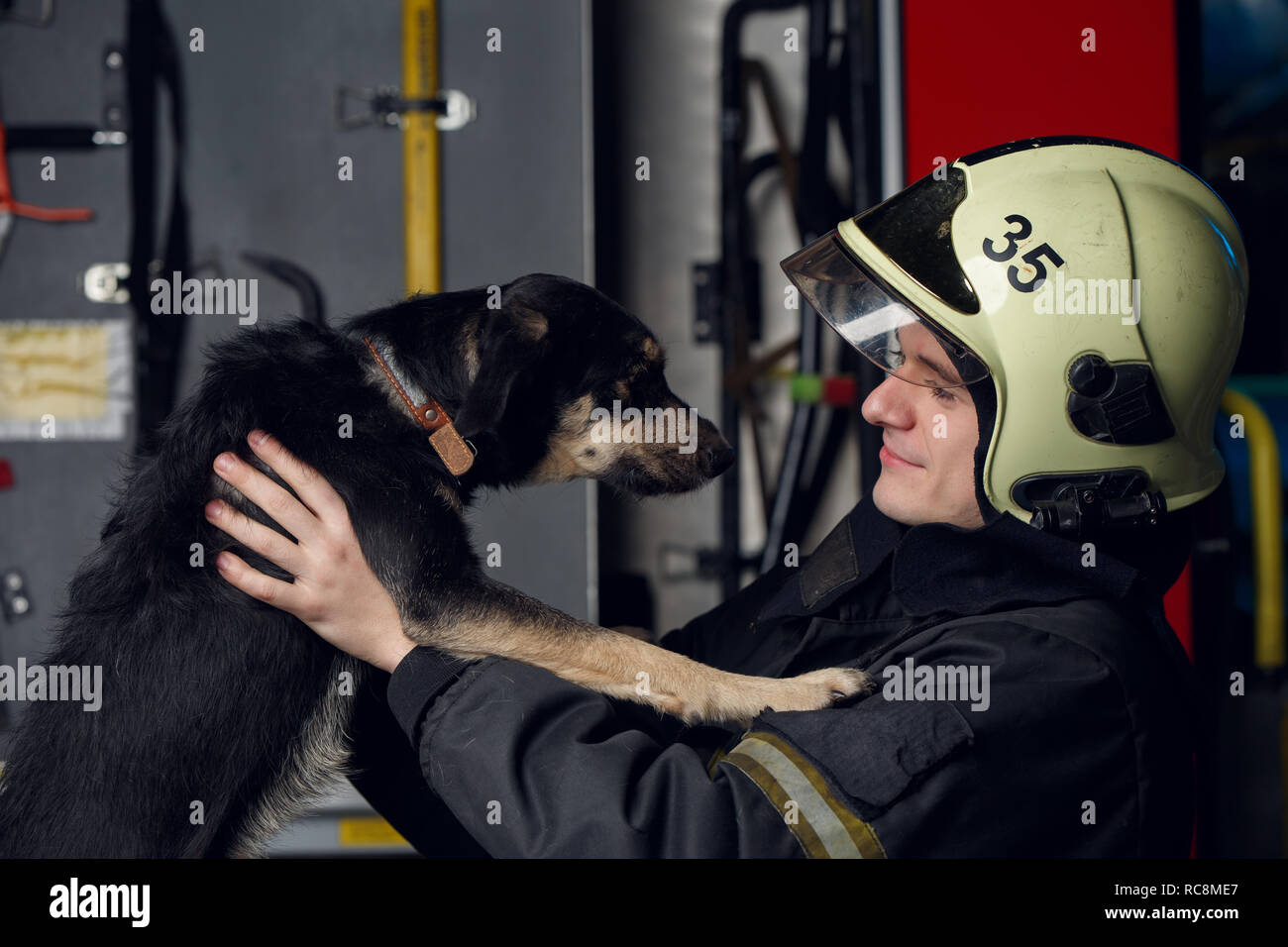 Image of man firefighter with dog at fire truck Stock Photo - Alamy