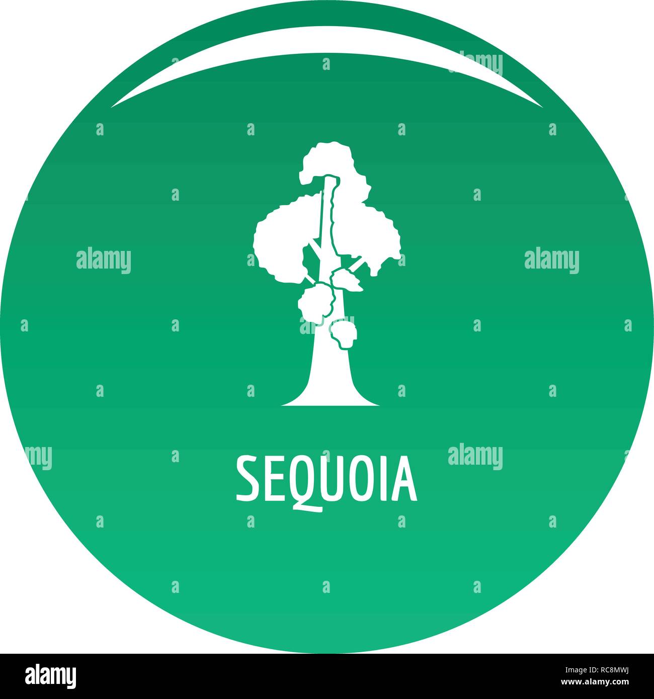 Sequoia icon. Simple illustration of sequoia vector icon for any design ...