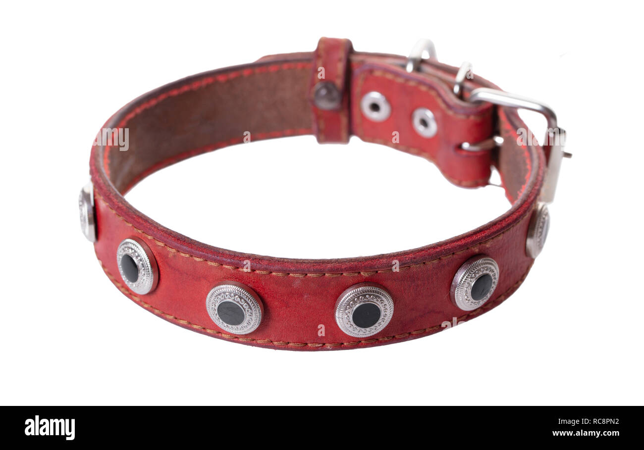 leather red dog collar on white isolated background Stock Photo - Alamy