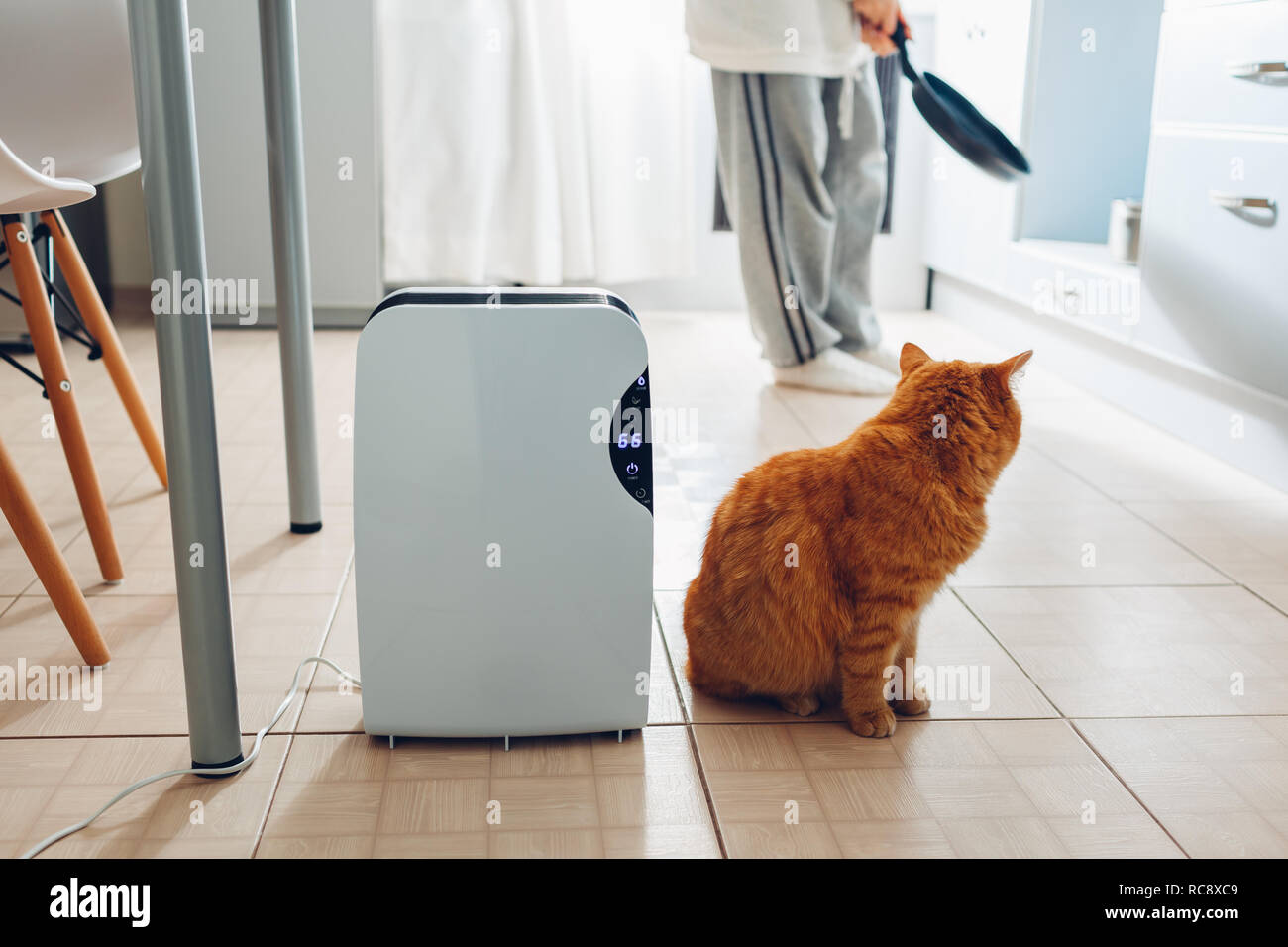 Dehumidifier with touch panel, humidity indicator, uv lamp, air ionizer ...