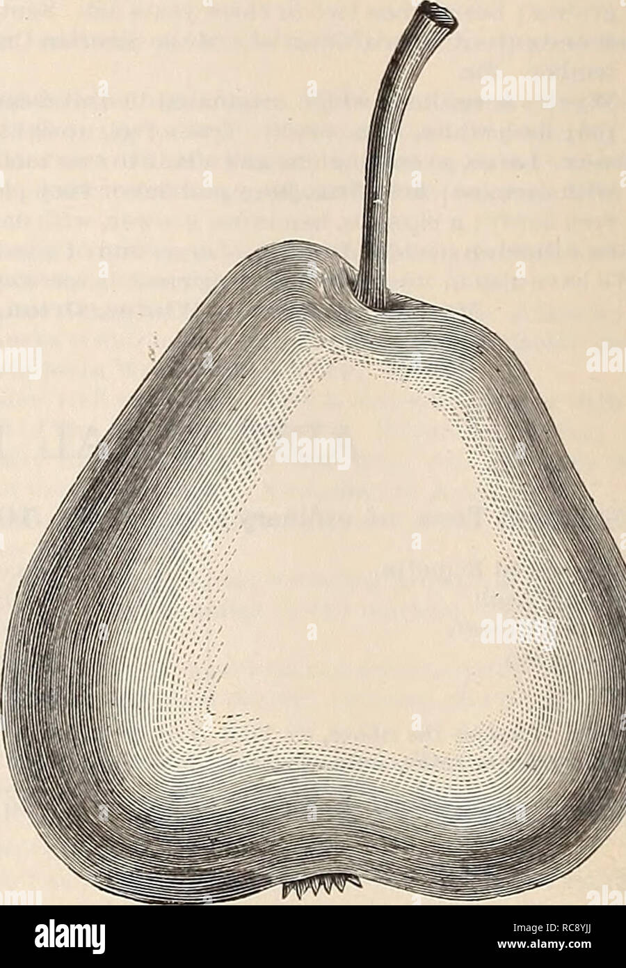 . [Ellwanger & Barry's general catalogue]. 16 ELLWANGER & BARRTS SUMMER ...