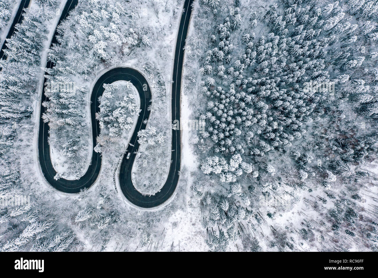 Aerial view road from forest hi-res stock photography and images - Alamy