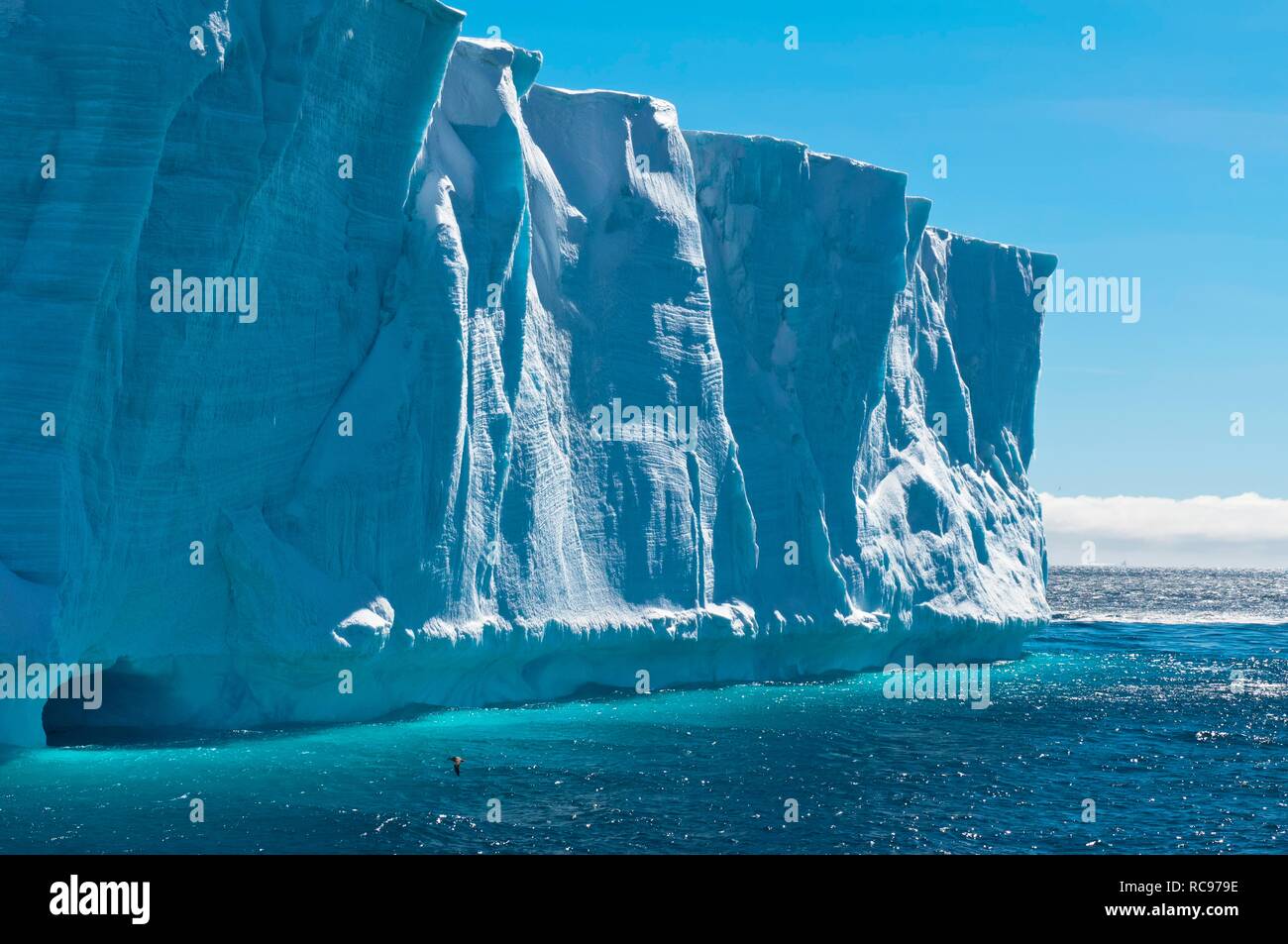 Antarctic sound antarctica hi-res stock photography and images - Alamy