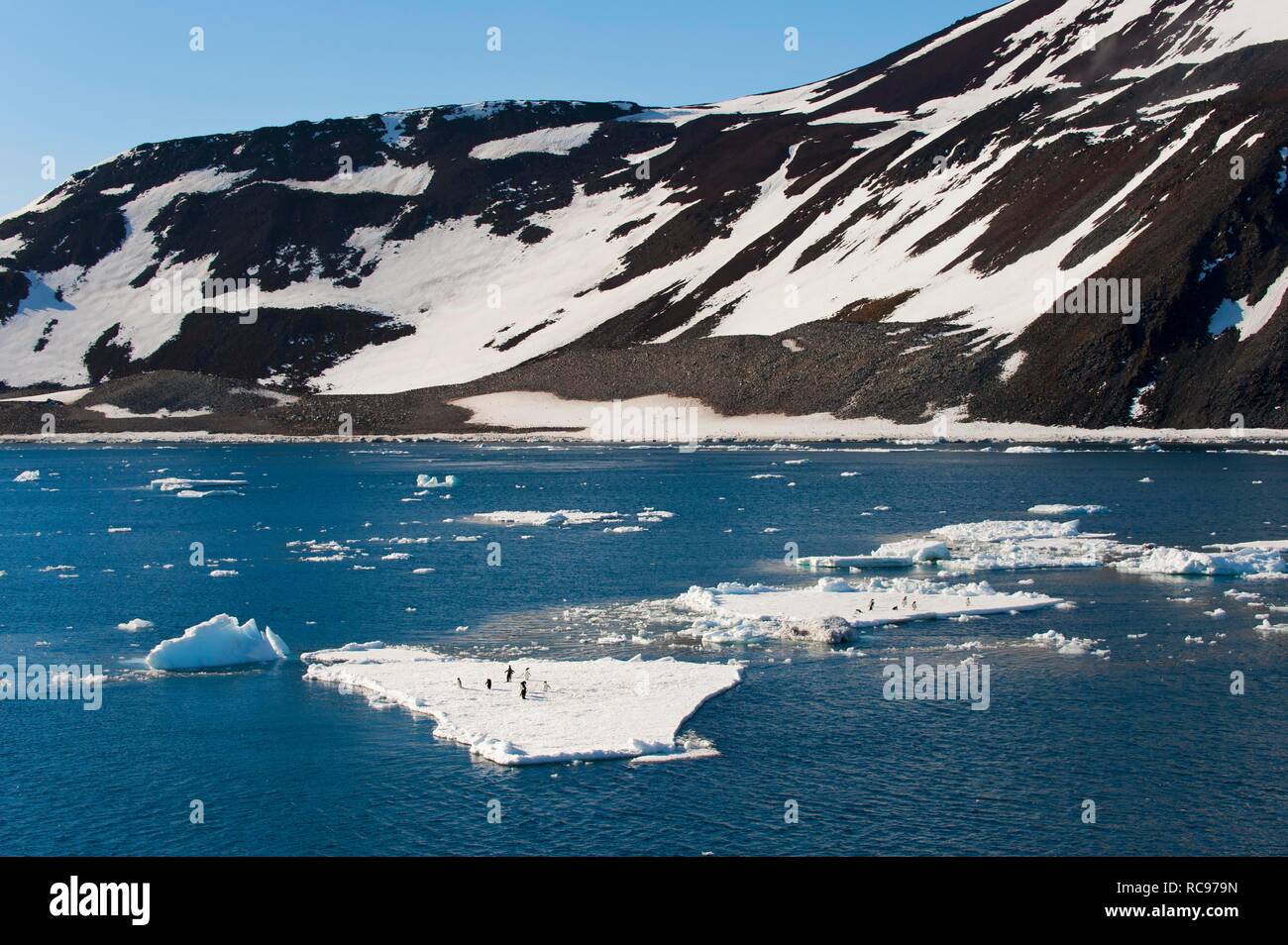 Antarctic Sound, Antarctic Peninsula, Antarctica Stock Photo - Alamy