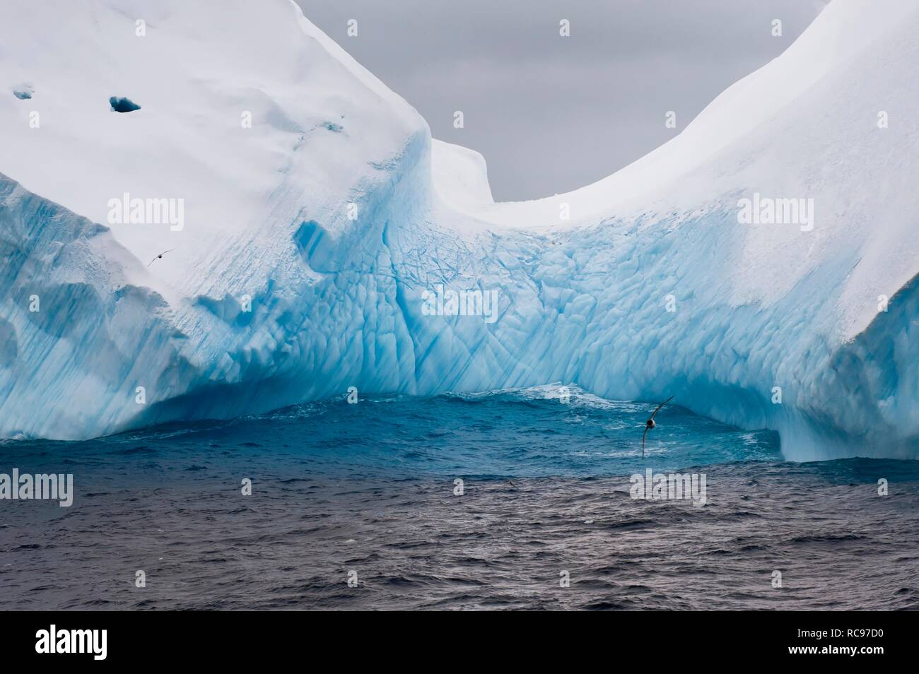 Southern ocean hi-res stock photography and images - Alamy