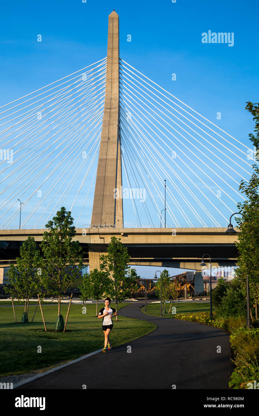 Leonard P. Zakim/Bunker Hill Memorial Bridge (Zakim Bridge) and runner ...