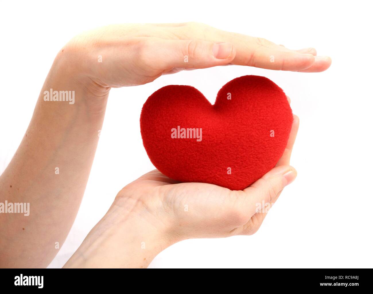 Hand being held protectively above a red heart, symbolic image for ...