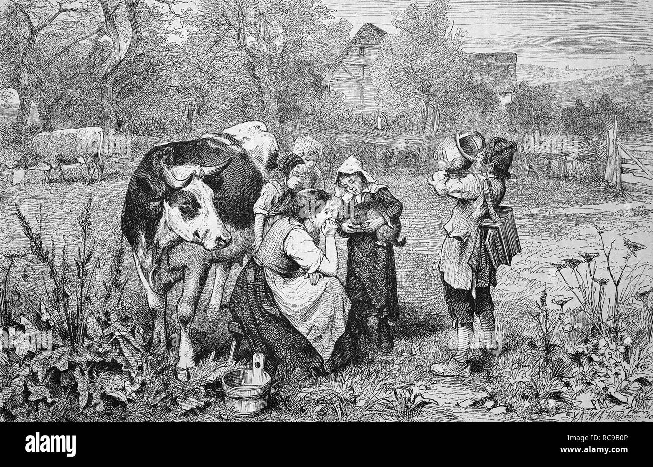 Savoyards children with a cow, Savoy, France, historic wood engraving ...