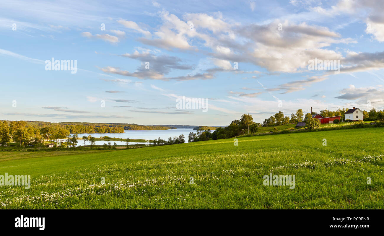 Cultivated field with lake in background Stock Photo - Alamy