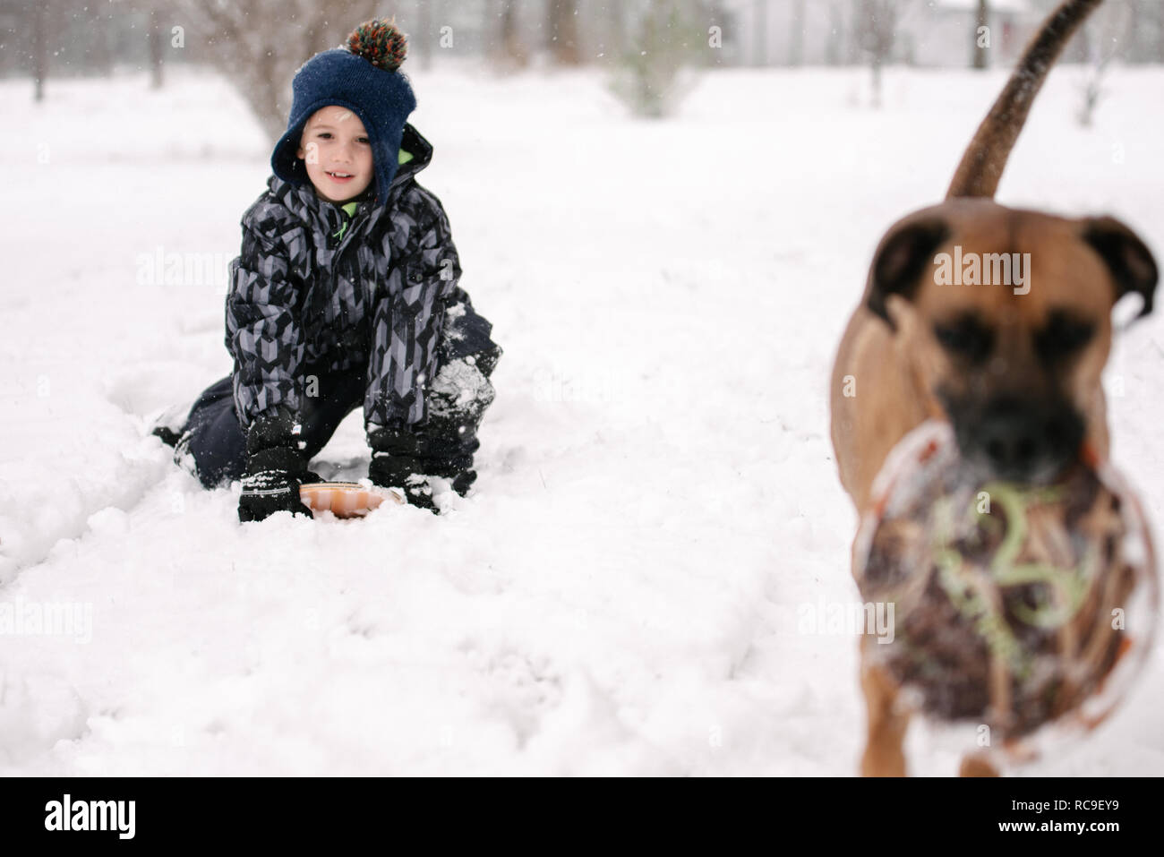 Pet running away hi-res stock photography and images - Alamy