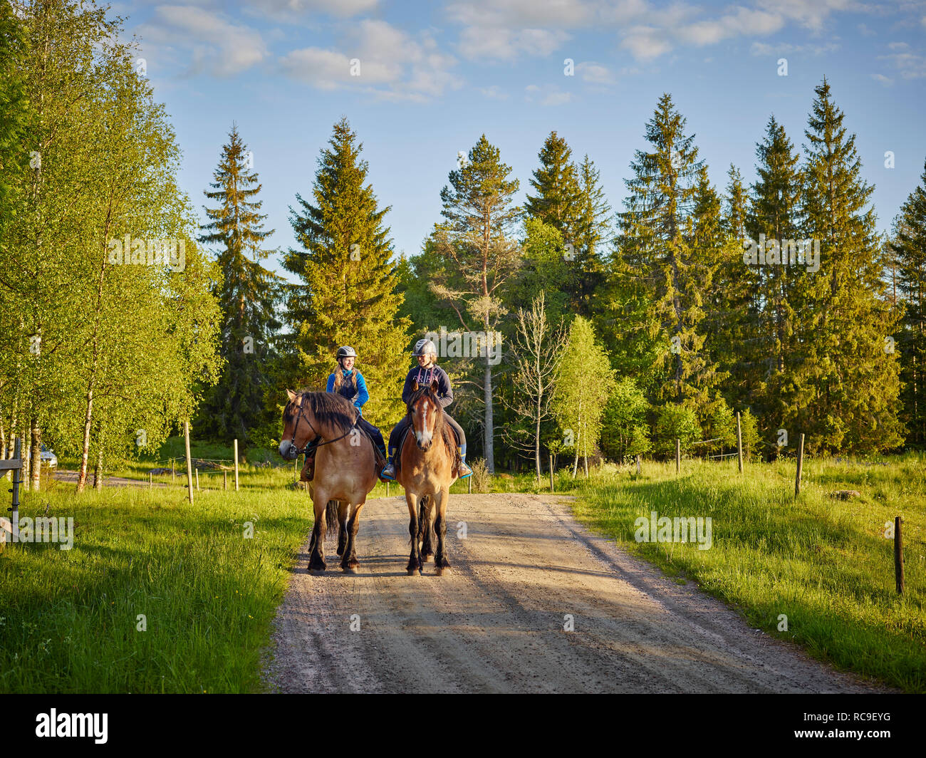 Horses in countryside hi-res stock photography and images - Alamy