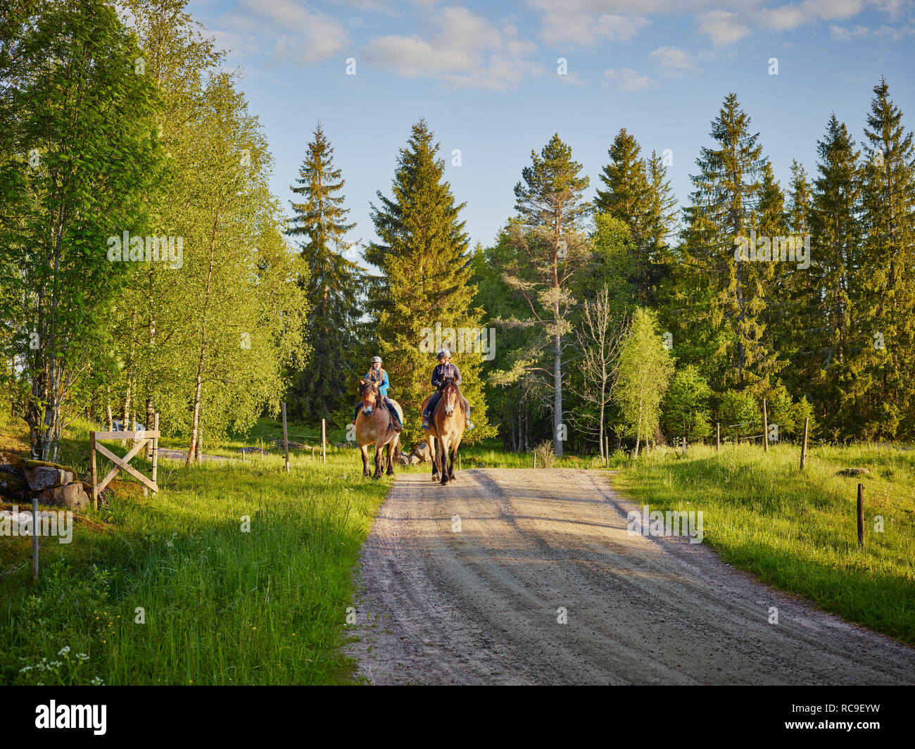 Girl horseback riding forest hi-res stock photography and images - Alamy