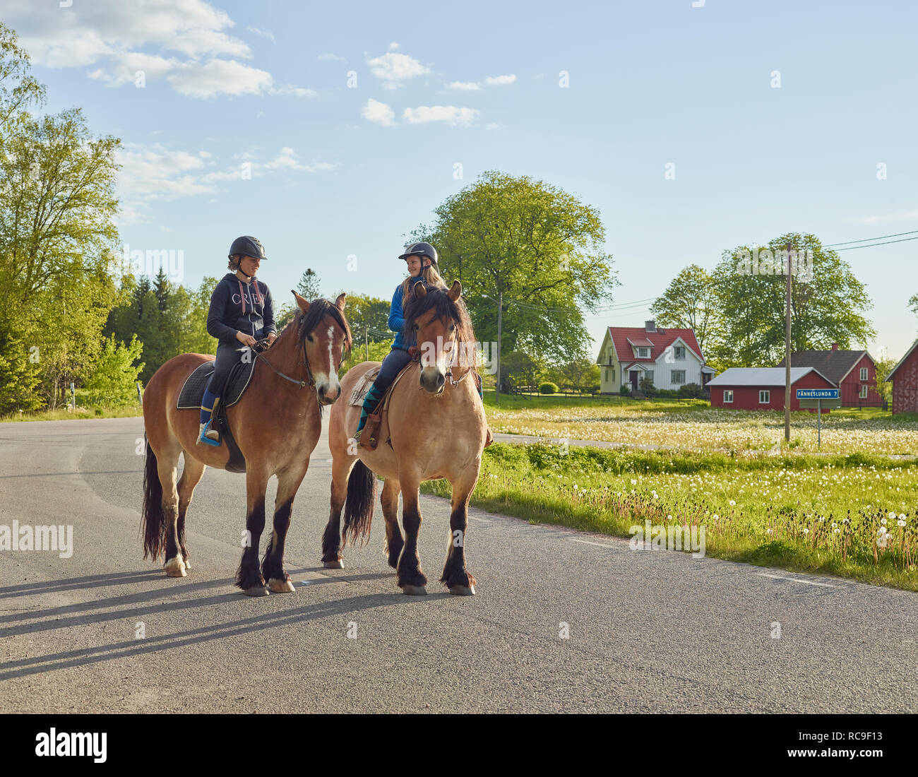 Friends riding horses in countryside Stock Photo - Alamy