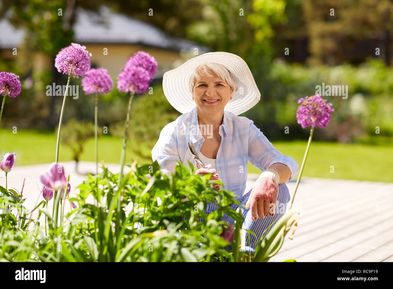 senior woman with garden pruner and flowers Stock Photo - Alamy