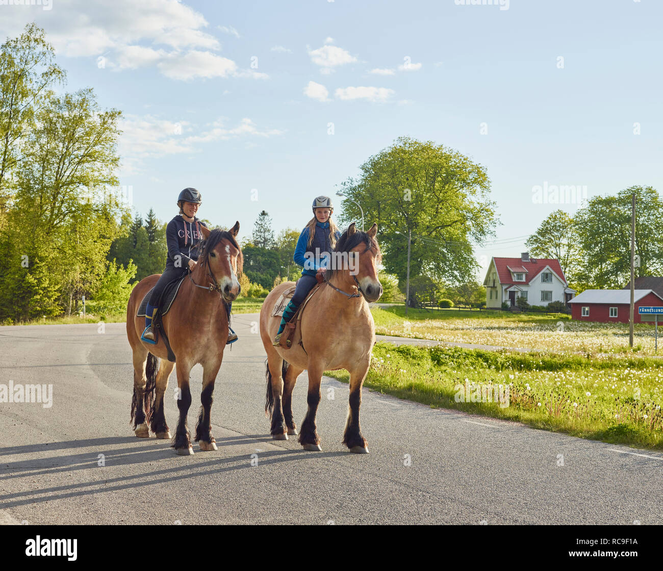 Horses in countryside hi-res stock photography and images - Alamy