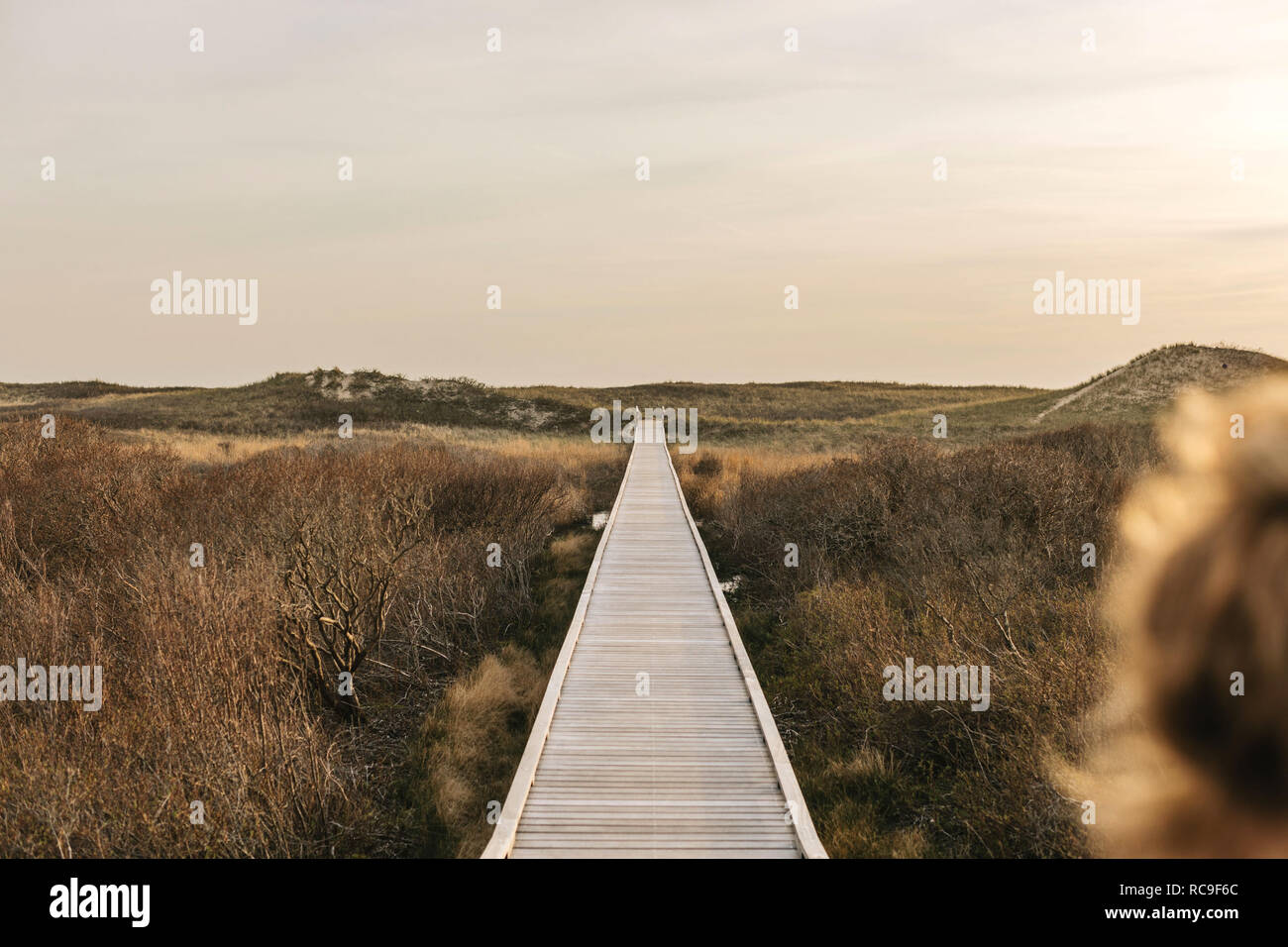 Landscape view with coastal dune boardwalk, Menemsha, Martha's Vineyard ...