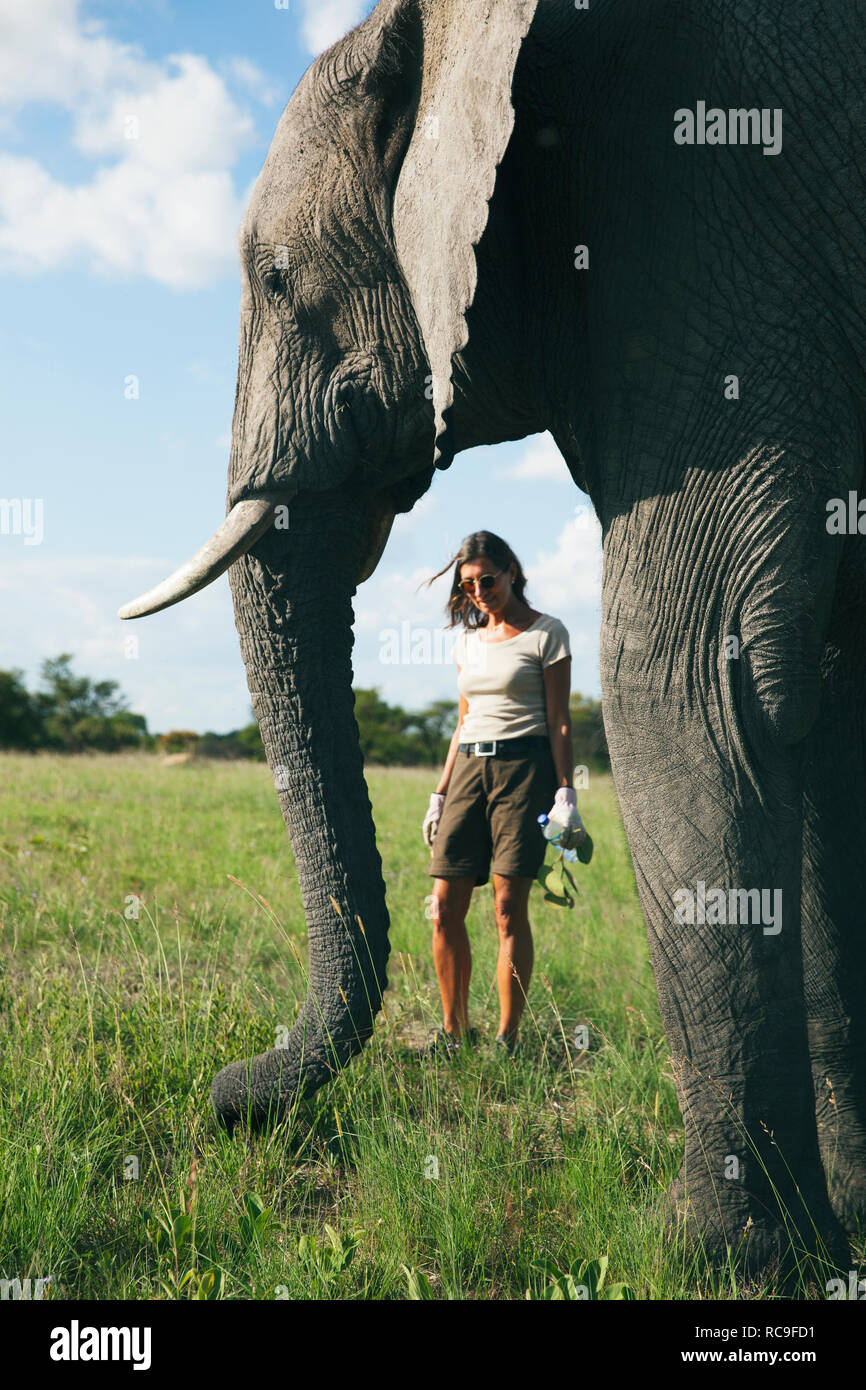 Elephant expedition hi-res stock photography and images - Alamy