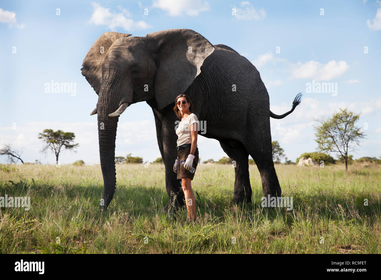 Woman with elephant in safari camp Stock Photo - Alamy