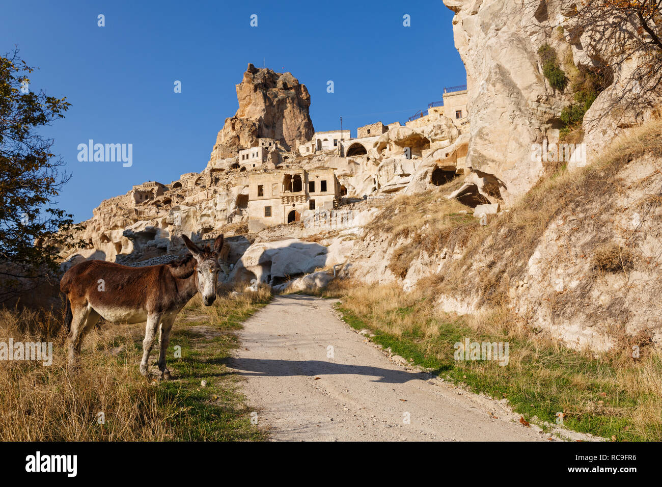 Cappadocia, donkey on the road to old town, Turkey Stock Photo - Alamy