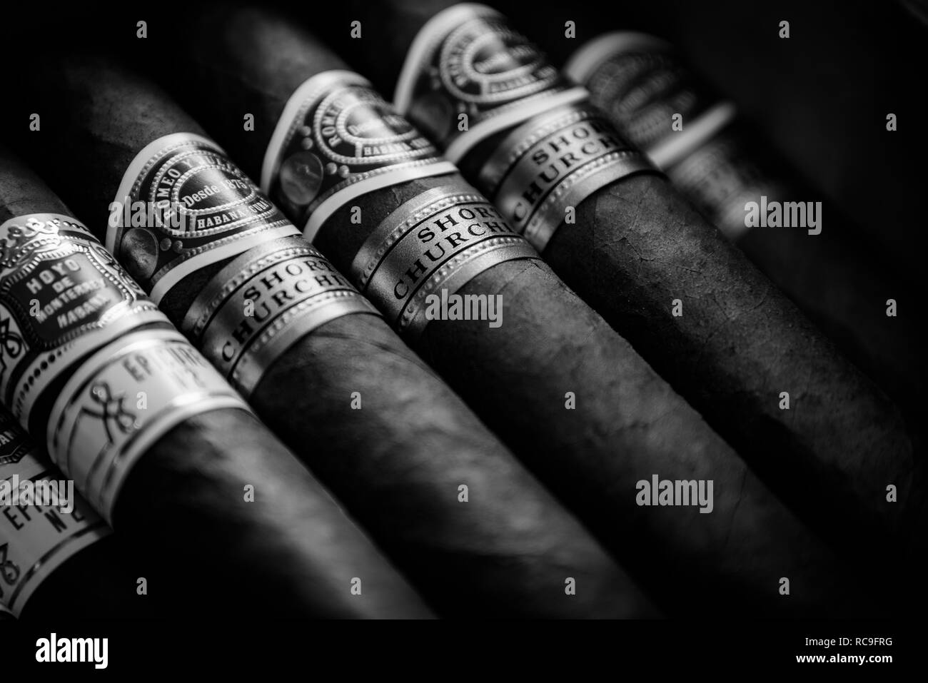 Cigar Black And White