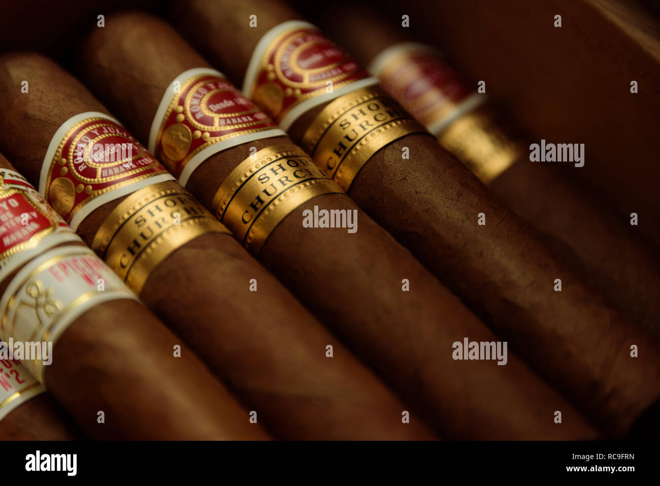 Cuban Cigar brands in a humidor Stock Photo - Alamy